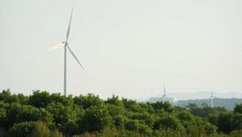 Was bedeutet eigentlich „klimaneutral“ – und wer darf es sagen?